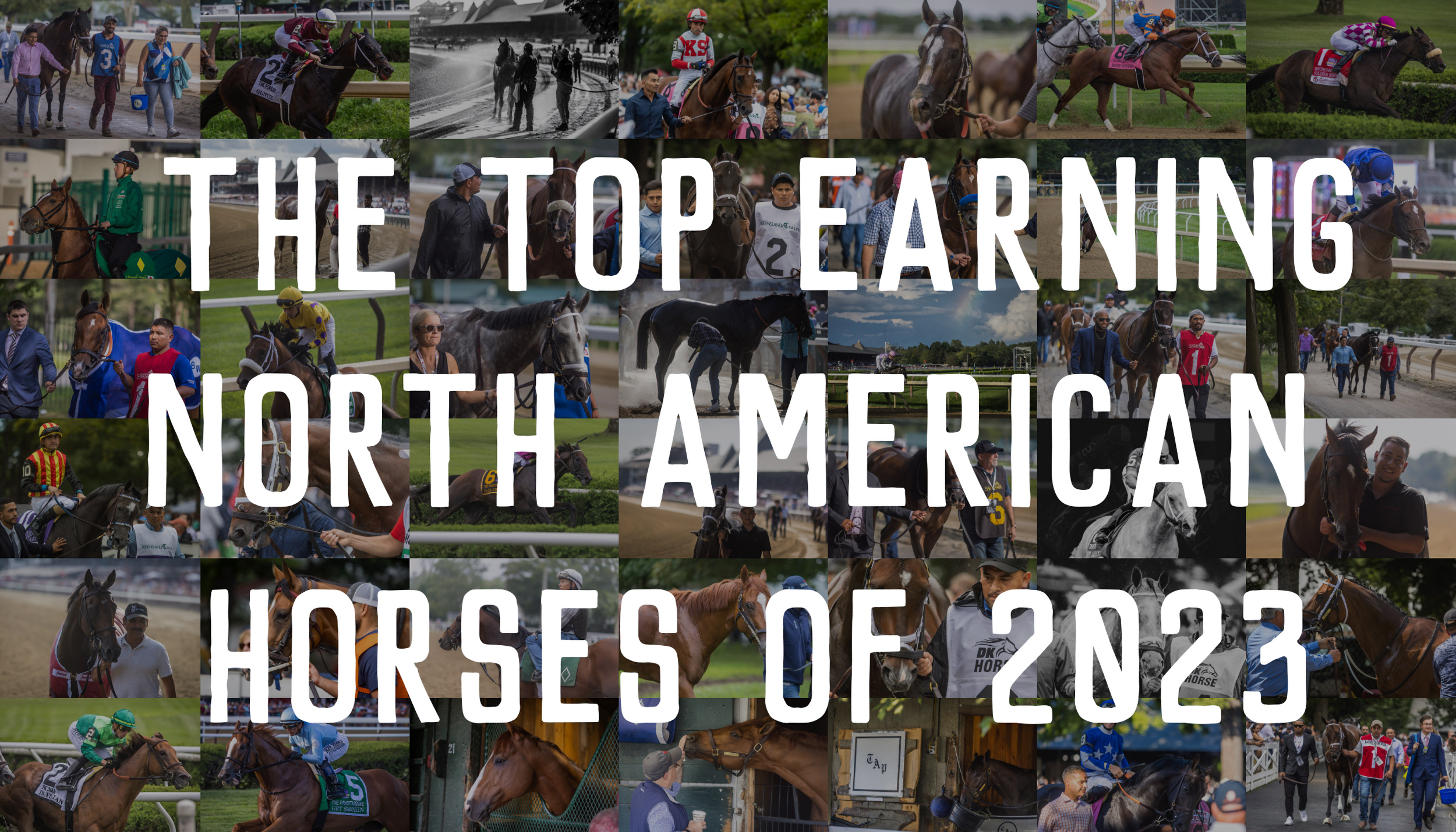 The Top Earning North American Horses of 2023 - Photography by Samantha ...
