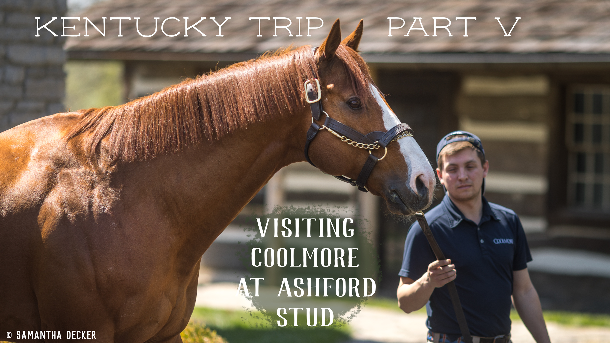 Kentucky Trip Part V: Visiting Coolmore at Ashford Stud - Photography ...