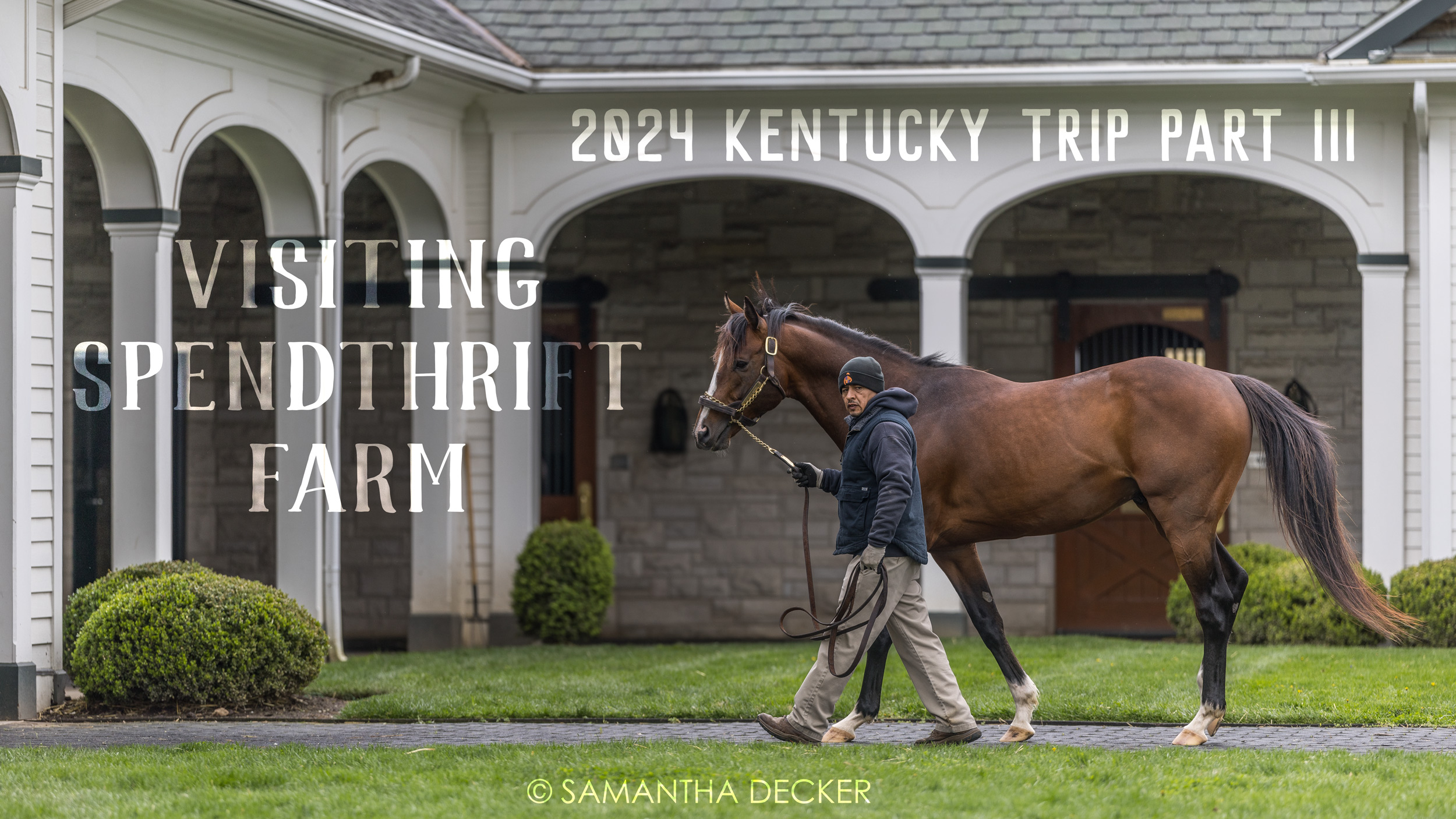 2024 Kentucky Trip Part III: Visit Spendthrift Farm - Photography by ...