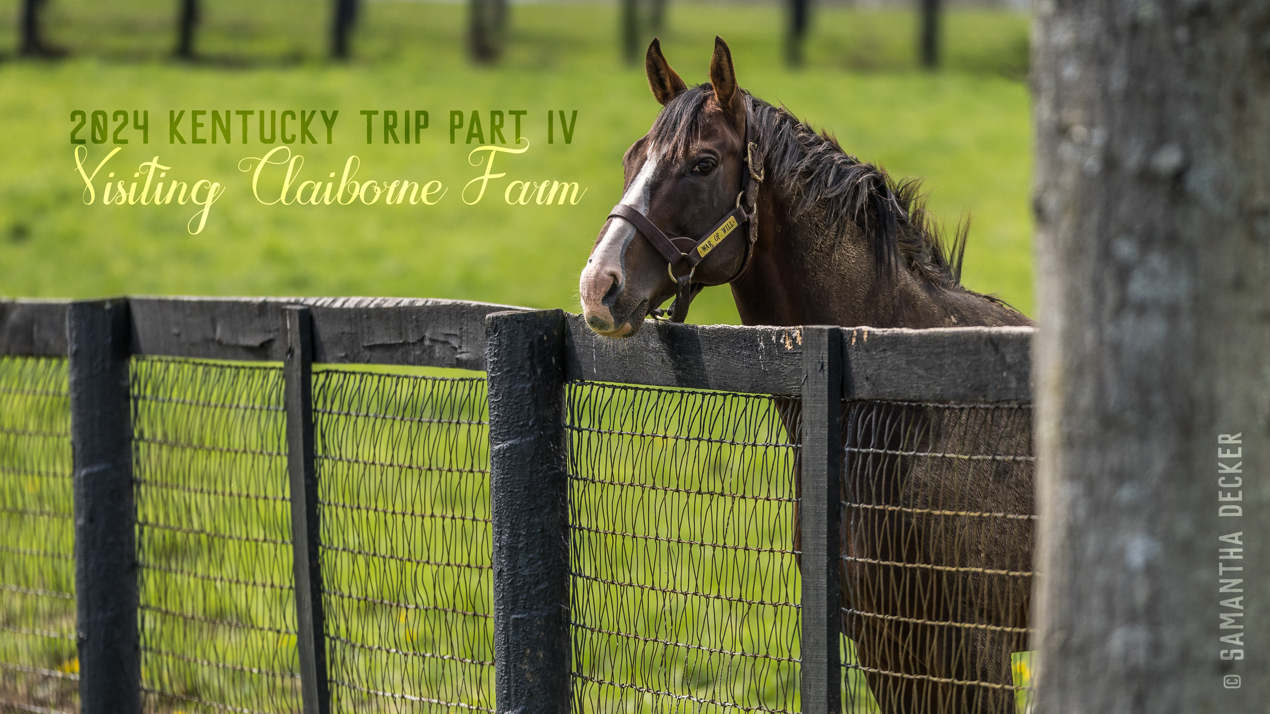 2024 Kentucky Trip Part IV: Visiting Claiborne Farm - Photography by ...